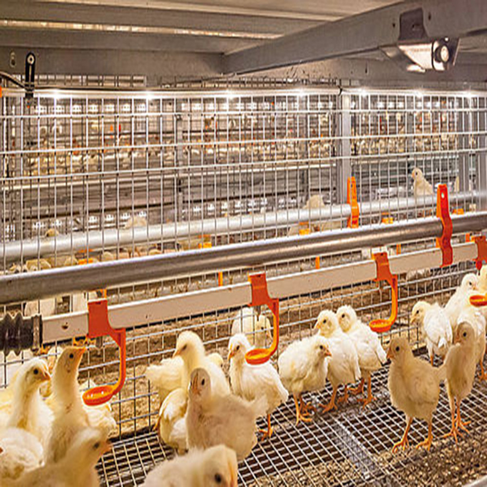 Galvanized Steel Poultry House with Gable Roof and Bolts Connection
